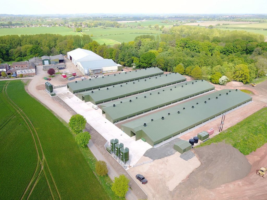 Poultry Buildings | Clarke Construction