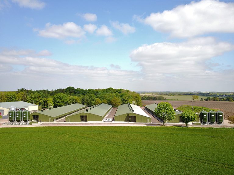 Poultry Buildings | Clarke Construction