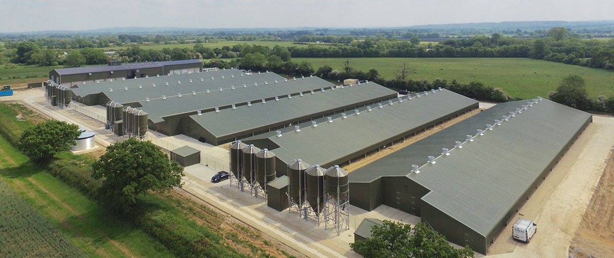 Poultry Buildings | Clarke Construction